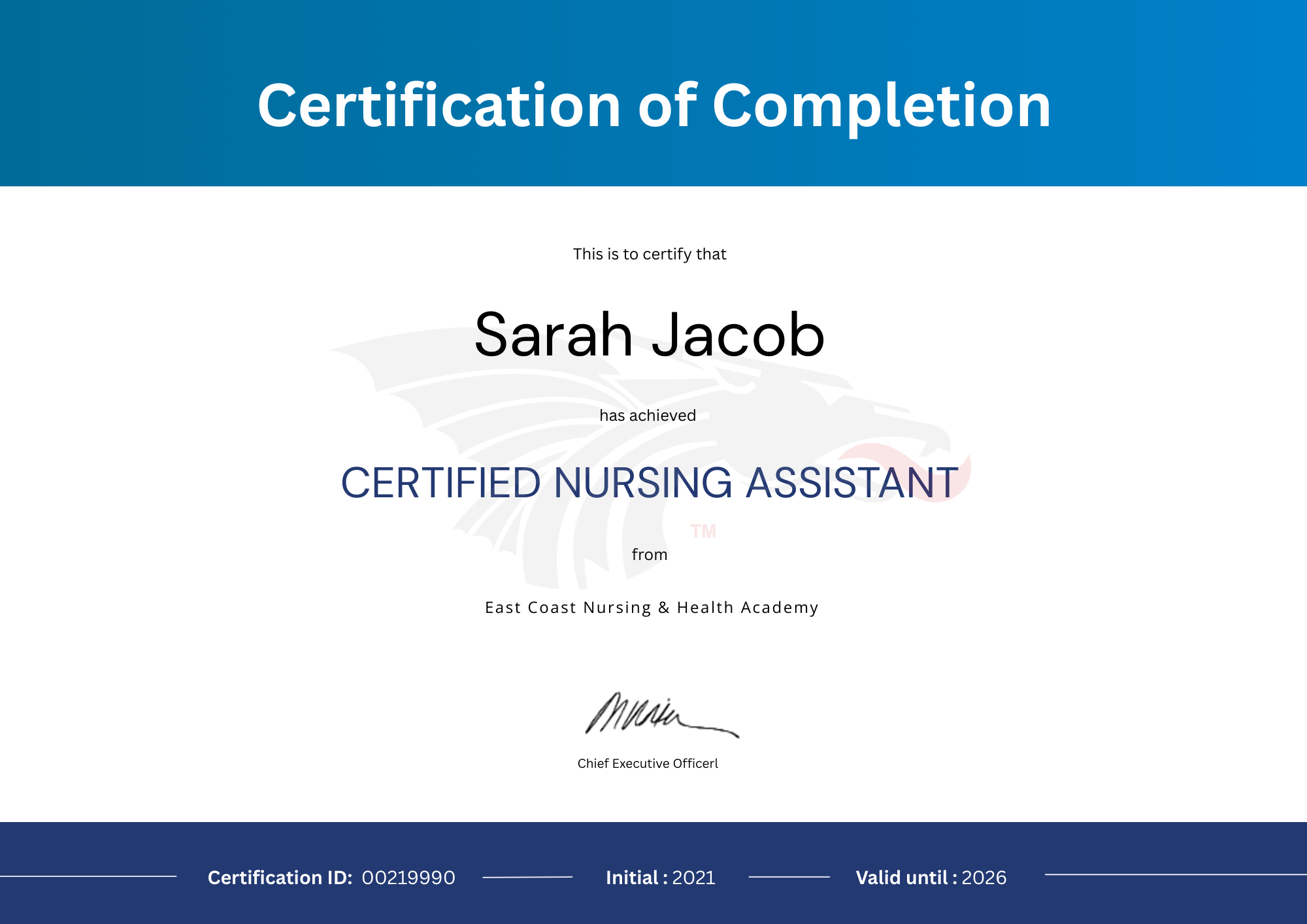 Top 10 CNA Certificate Templates for Healthcare Training Programs